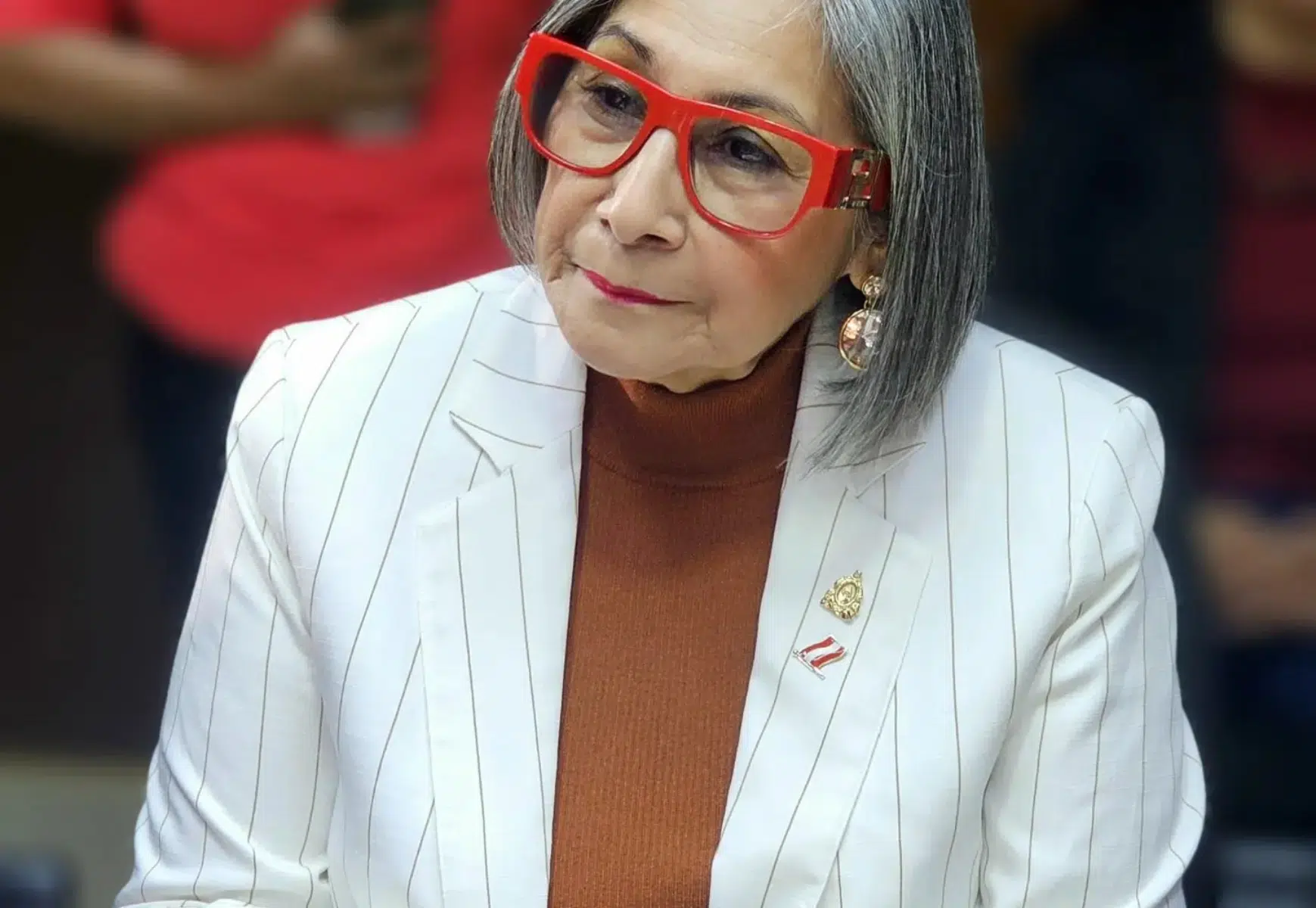 Maribel Espinoza: «Preocuparía mucho que todos los poderes del Estado, aglutinados ilegalmente ...